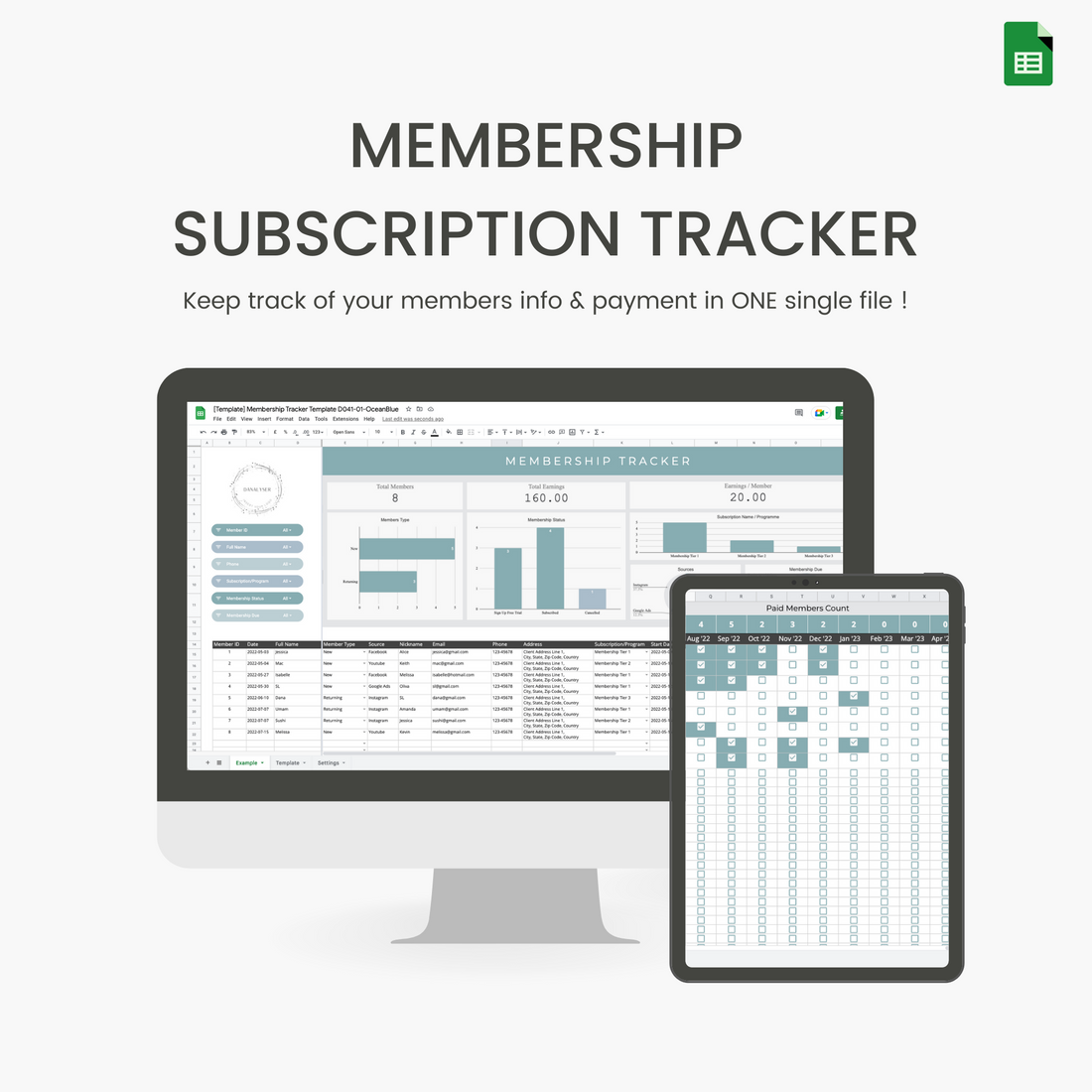 Membership Tracker Spreadsheets – Danalyser